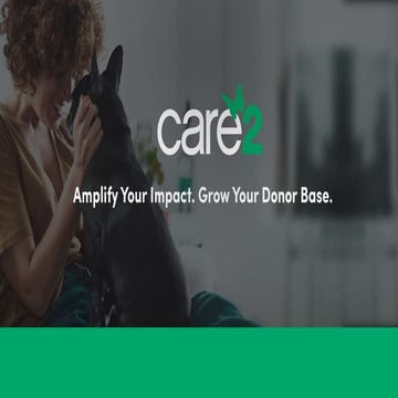Digital strategy - testing and learning Care2 | PPT