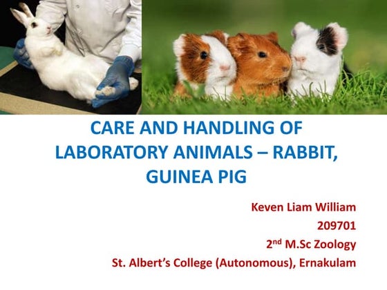 Handling of laboratory animal | PPT