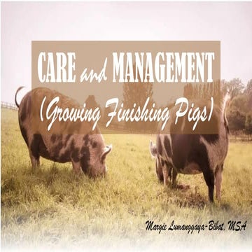 Breeding management - Swine | PPTX
