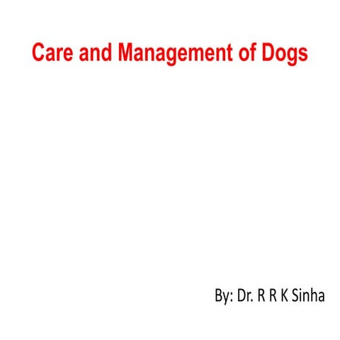 Care_and_management_of_dogs.pptx