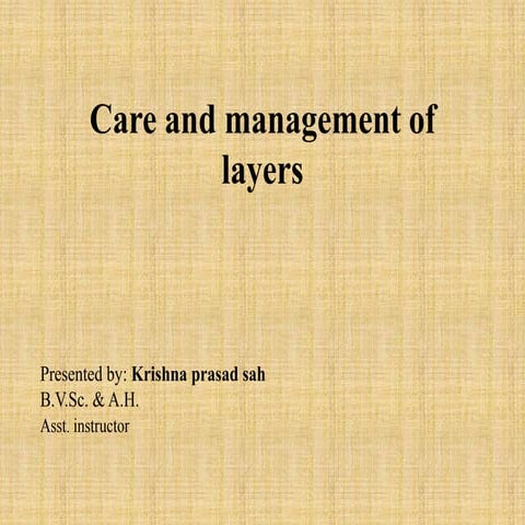 NOVOgen BROWN -- Commercial Layers Management Guide | PDF