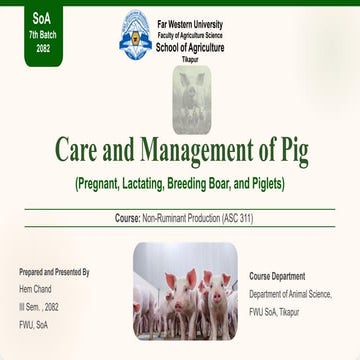Breeding management - Swine | PPTX