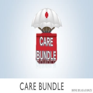 Care bundles | PPTX