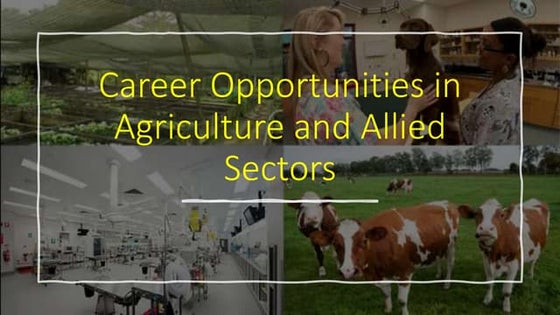 agriculture careers | PPT