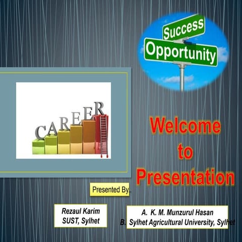 Career Presentation | PPTX