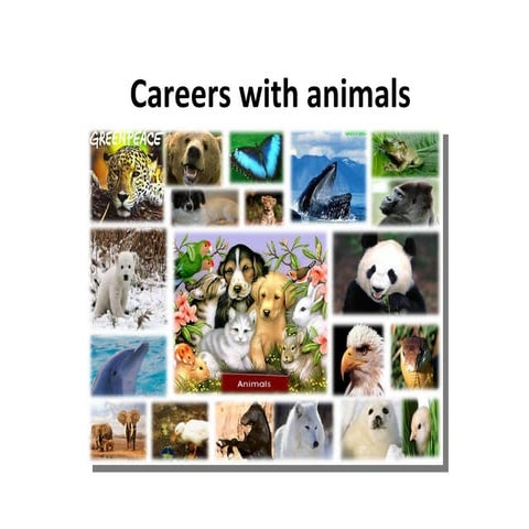 NA1: Careers With Animals | PPT