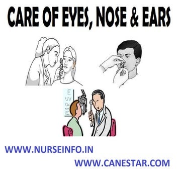 care of eyes ,ears ,nose..pptx