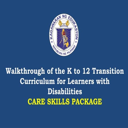 Care Package Skills Presentation for LwD | PPTX