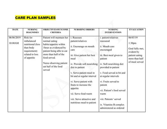 Sample Care Plan | PDF