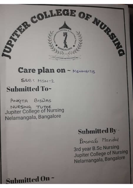 Care Plan -Fracture //GNM ,B.Sc nursing 2024#2k24//RGUSH, | PDF