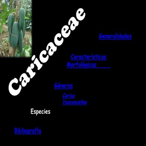 Caricaceae | PPTX