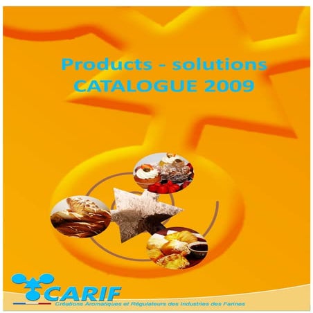 Carif 2009-en | PDF