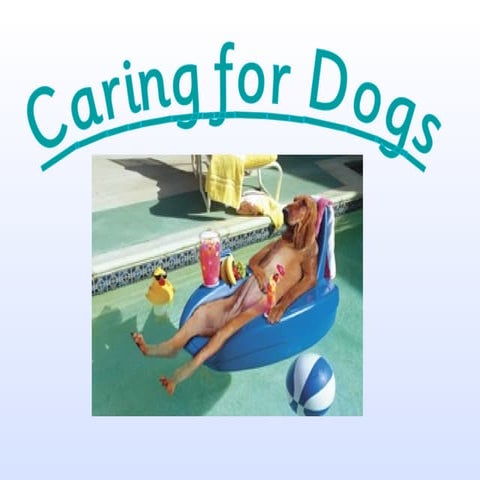 Caring for dogs | PPT