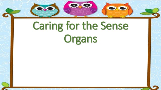 Care For The Sense Organs | PPS