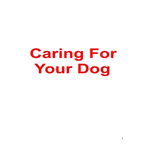 Right Ways To Take Care Of A Dog | PPTX