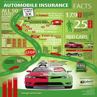 Car insurance stats | PDF | Pet Insurance | Insurance