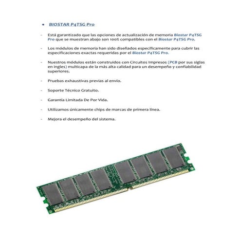 Tipos de bios - Tarik Curto | PDF