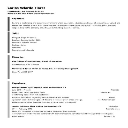 Carlos velarde flores resume | DOCX