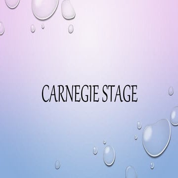 Carnegie stages | PPTX