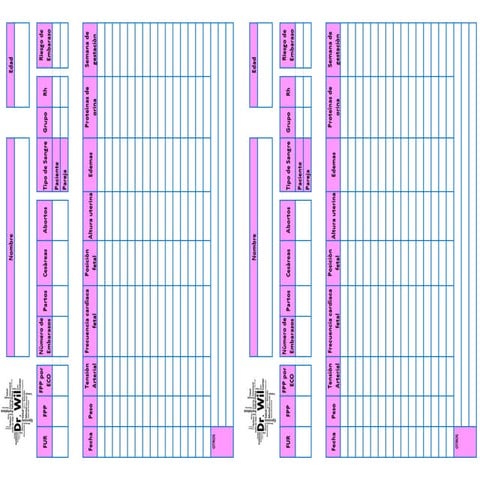 Carnet Embarazo (1).pptx seguimiento médico | PPTX