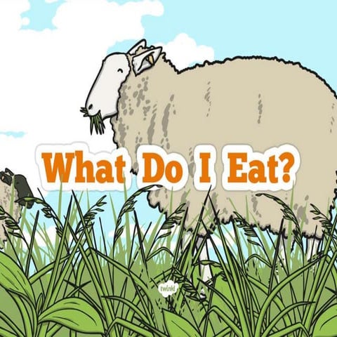 Carnivore Herbivore Omnivore.ppt this lesson is made for 4th grade ...