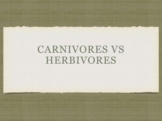 The Eating Habits Of Animals Ppt Project | PPT | Vegetarian Diets ...