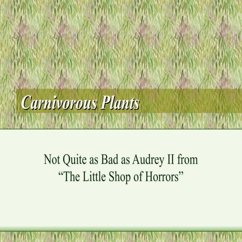 Carnivorous plants by Trisha rai | PPT