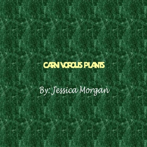 Carnivorous plants1a (1) | PPT