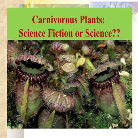 Carnivorous plants ppt les 3 | PPT