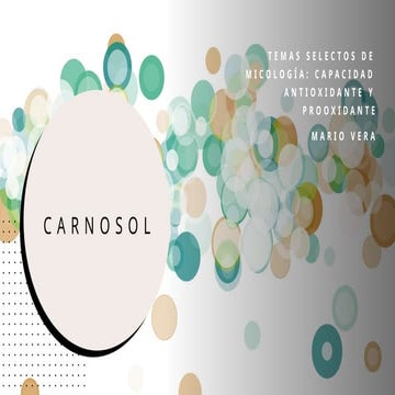 Generalidades del antioxidante Carnosol.pptx