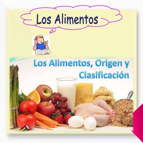 Mapa conceptual de alimentos | PPT