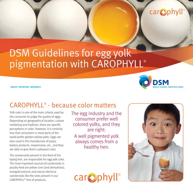Carophyll egg yolk pigmentation | PDF