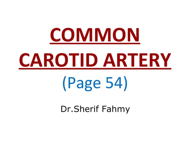Common carotid artery | PPTX