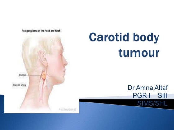 Development of Thyroid Gland (Special Embryology) | PPT