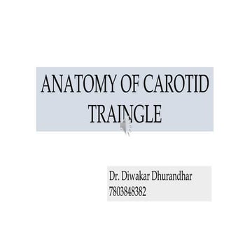 Dorsum of foot and medial side of leg | PPTX