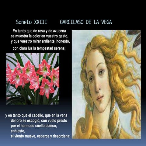 SONETO 23 DE GARCILASO DE LA VEGA | PPTX