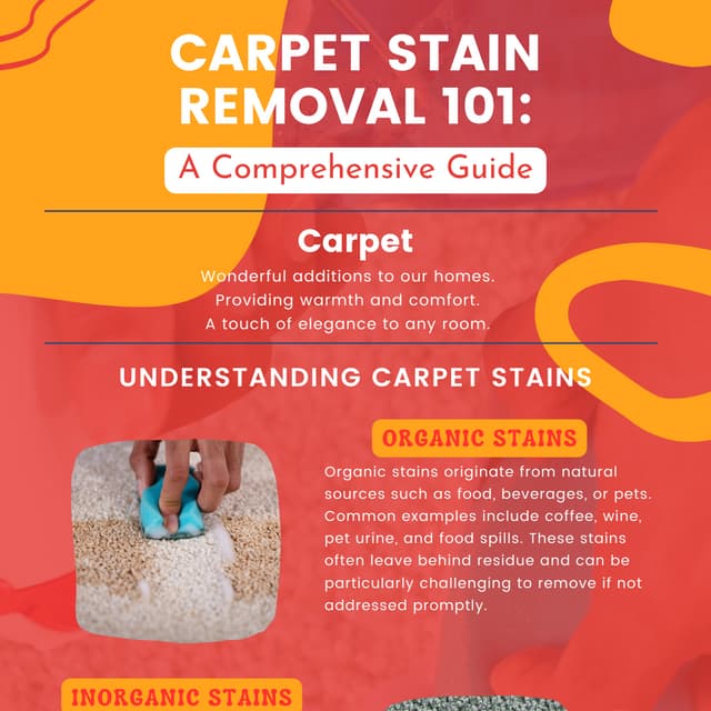 Carpet Stain Removal 101: A Comprehensive Guide | PDF