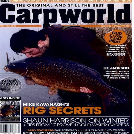 Carpworld | PDF