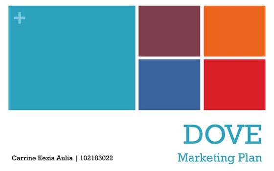 Brand positioning model (Dove case study) | PDF | Skin Care | Beauty