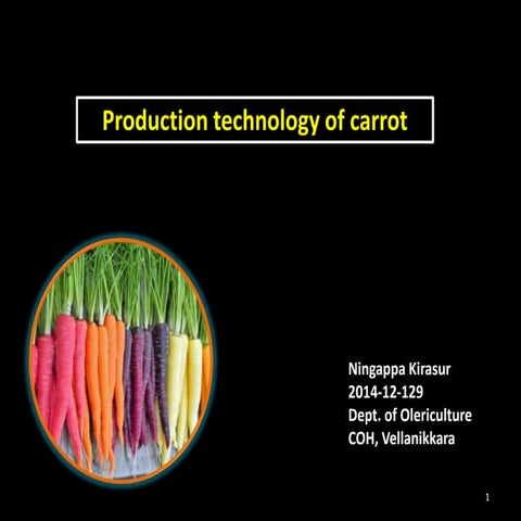 Cultivation of carrot | PPTX