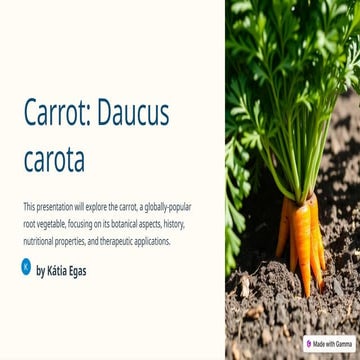Carrot-Daucus-carota. Medical benefits.pptx