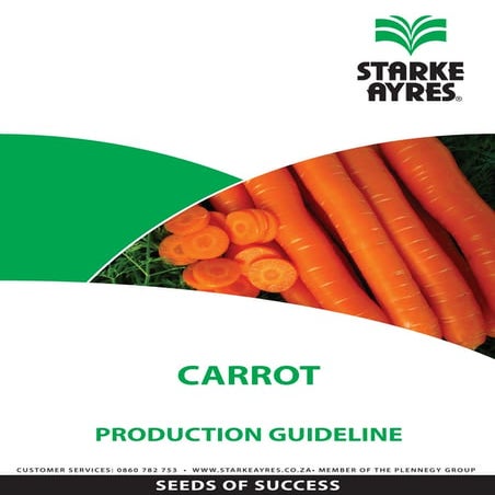 Carrot-Production-Guideline-2019.pdf