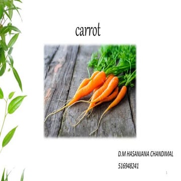 Carrot presentation/ Carrot | PPTX