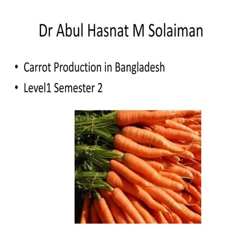 Carrot production presentation dr a h m solaiman | PPTX