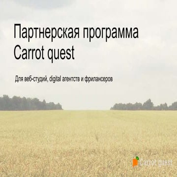 Партнерская программа Carrot quest | PPTX