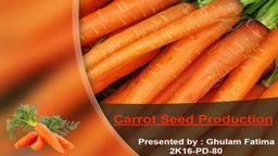 Germination Instructions for Seeds | PDF