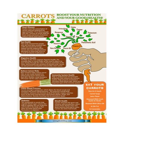 Carrots are healthy for more than the eyes | PDF
