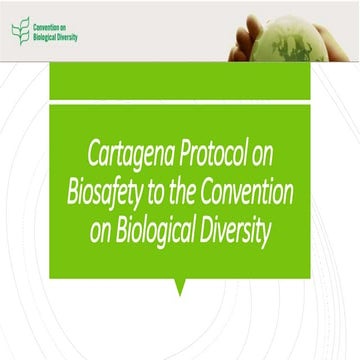 Cartagena Protocol on Biosafety to the Convention on Biological ...