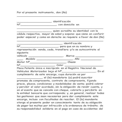 Carta Poder Especial Pdf