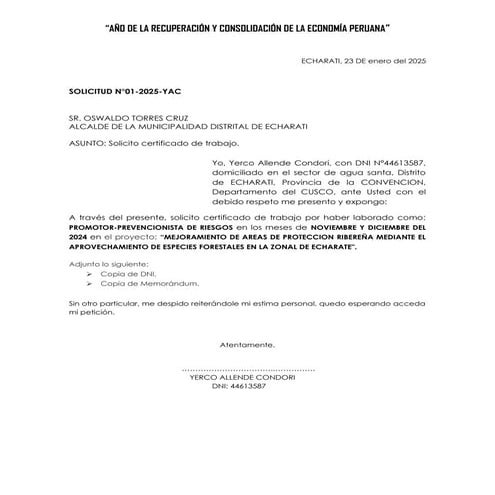 Curriculum vitae boris porras | PDF